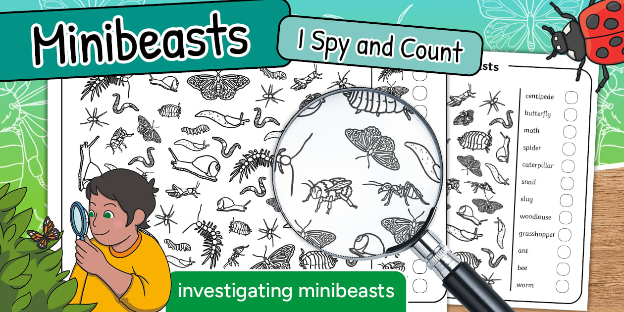 I Spy and Count Minibeasts Colouring Pages