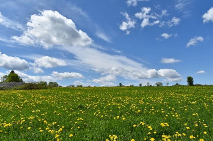 Le printemps - Saison - 20 mars 2026 - Twinkl