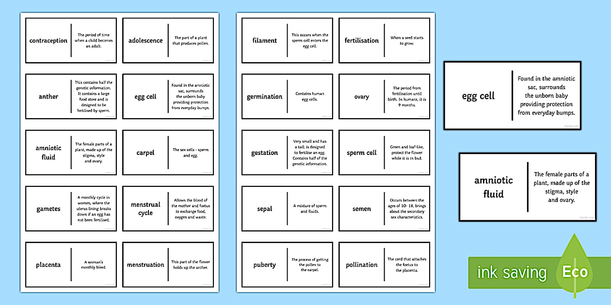 Reproduction Patience Glossary Activity (teacher made)