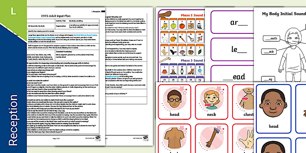 EYFS My Body Labelling Adult Input Plan and Resource Pack