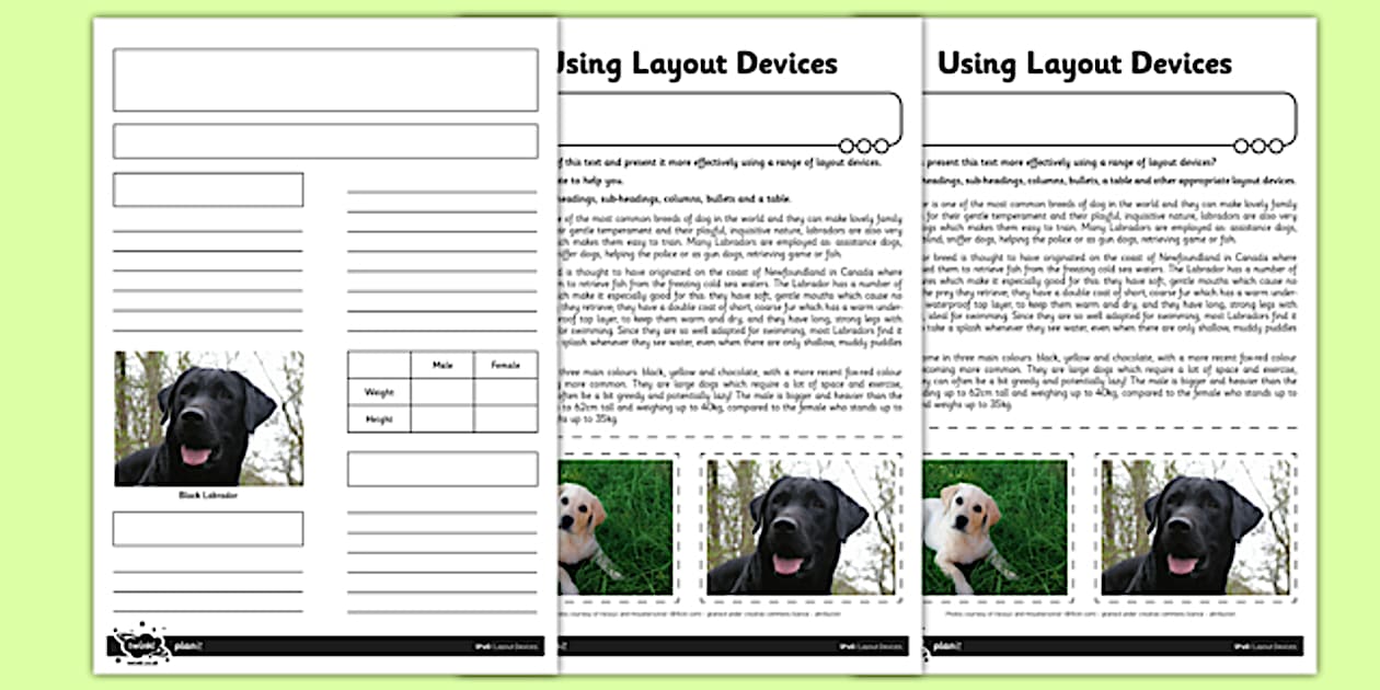 Using Layout Devices Differentiated Worksheet / Worksheet Pack