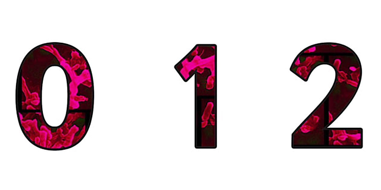 Micro Organisms Display Numbers (teacher made) - Twinkl