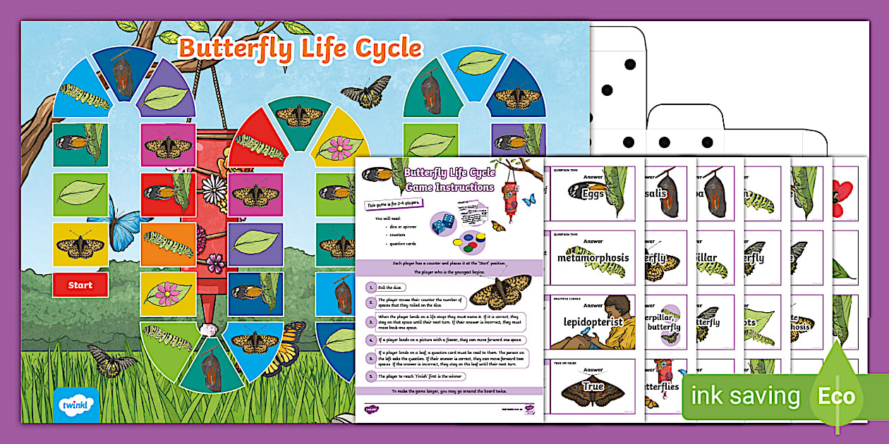 Butterfly Life Cycle Board Game | Year 3 Science | Twinkl