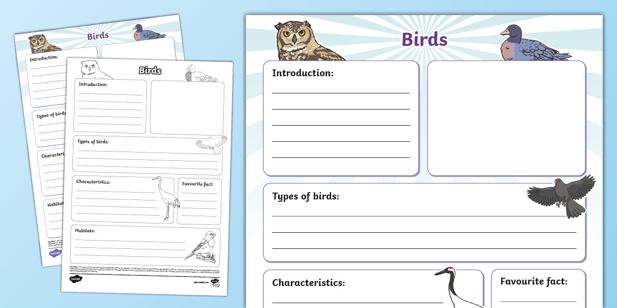 Birds Non-Chronological Report Template (teacher made)