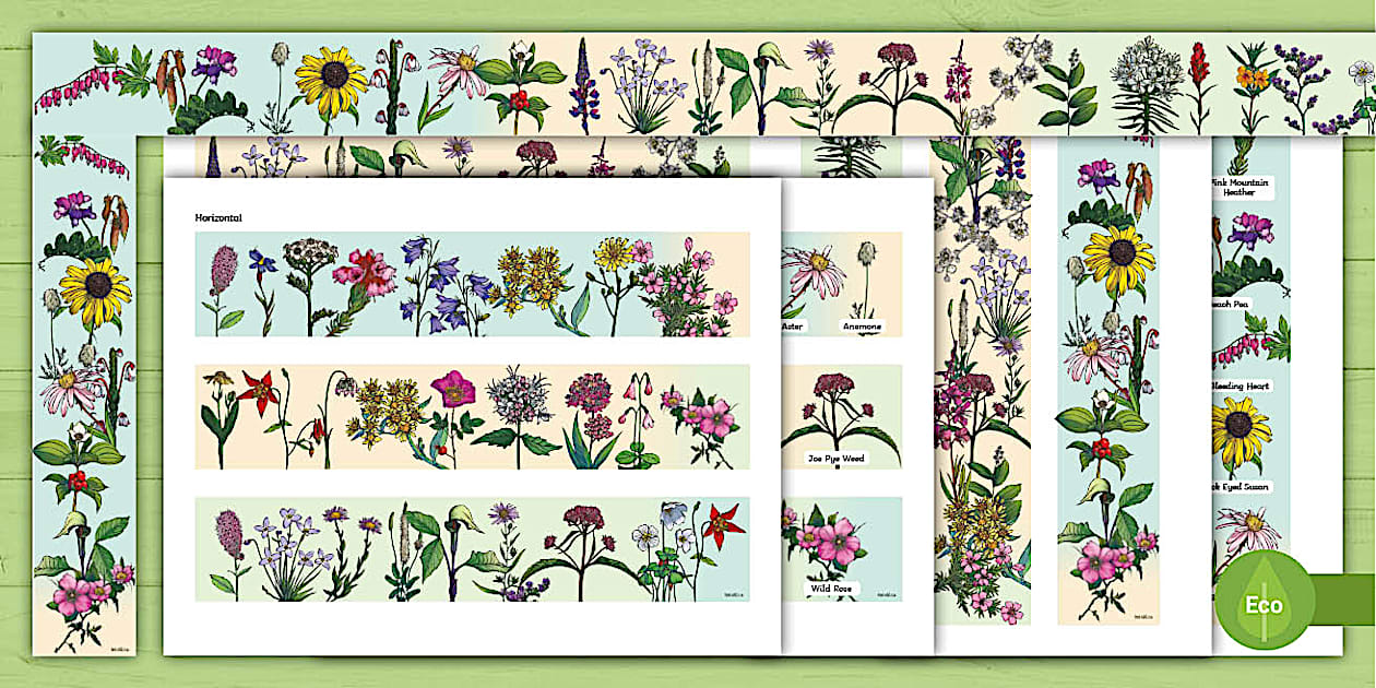 Canadian Spring Flowers Classroom Display Borders - Twinkl
