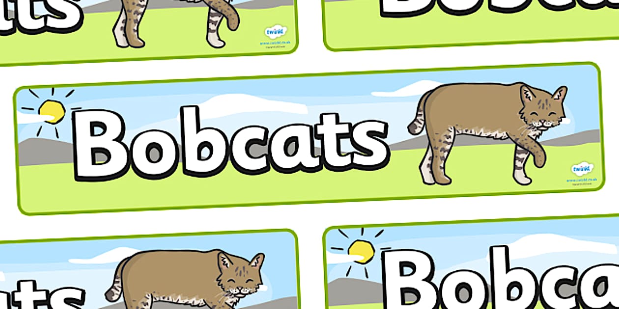 👉 Bobcats Display Banner (teacher made) - Twinkl