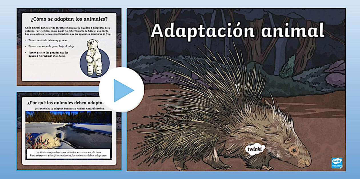 Presentación: Adaptación animal (teacher made) - Twinkl