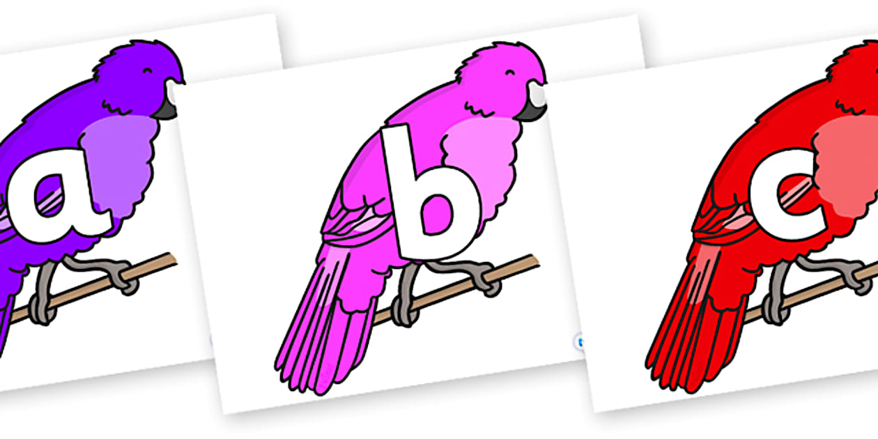 Phoneme Set on Parakeets (professor feito) - Twinkl