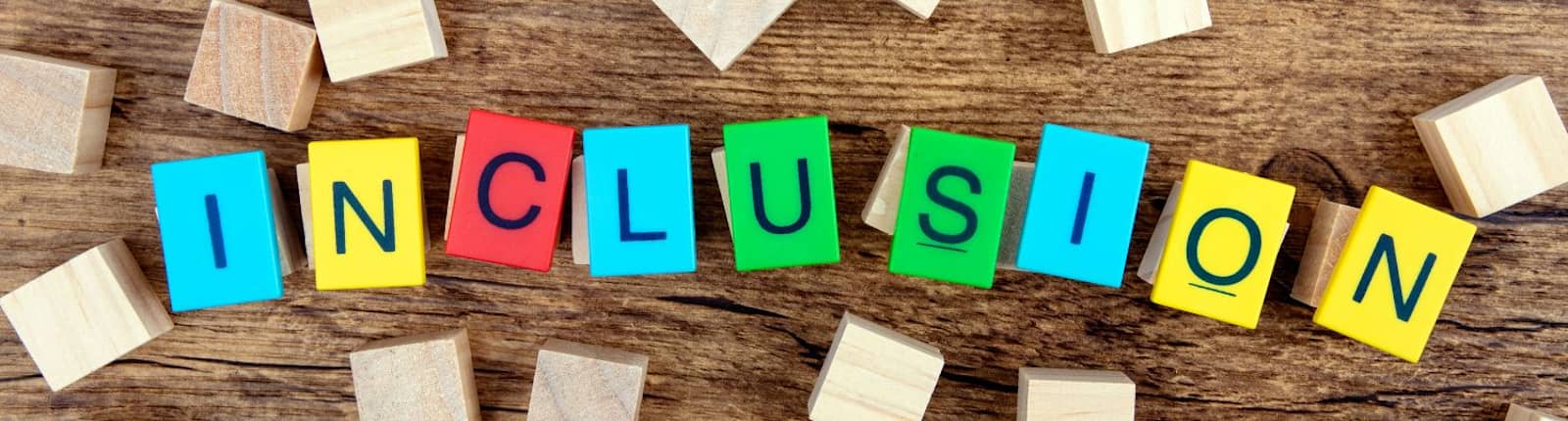 ‘Significant minority’ of inclusion bases failing to promote inclusion ...