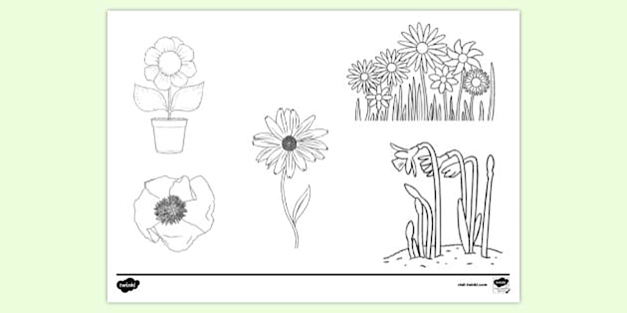 Flower Images for Colouring | Colouring Sheets