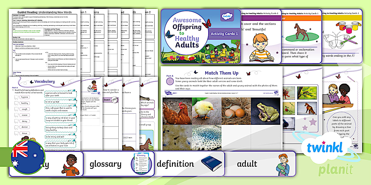 Year 2 Living Things: Guided Reading Unit Pack - Twinkl