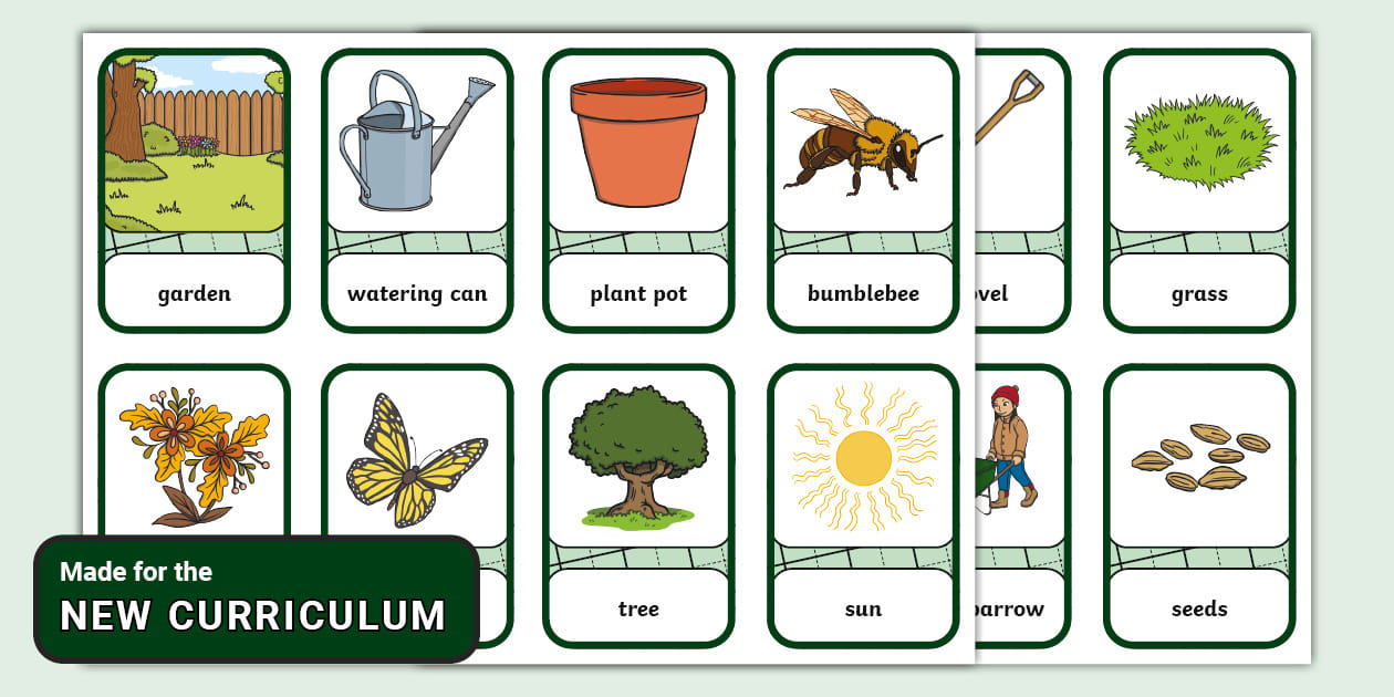 Garden Explorers Flashcards Junior Infants (Teacher-Made)