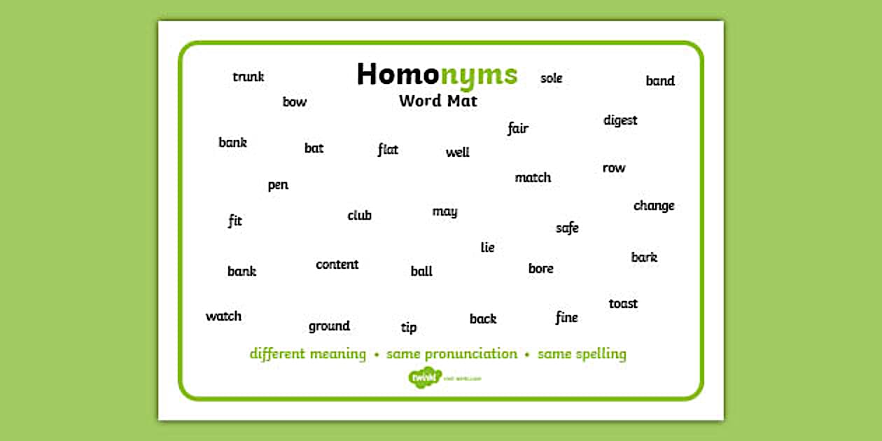 Homonyms Word Mat (teacher made) - Twinkl