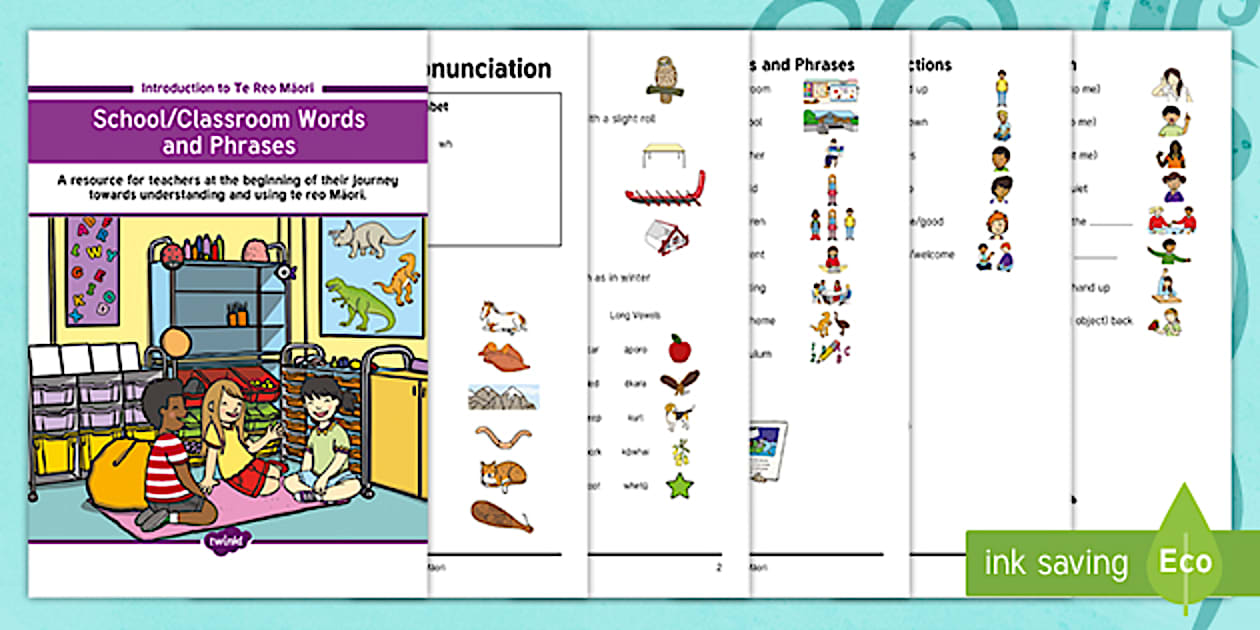 Beginner Māori Phrases | Te Reo Māori | NZ Primary Resources