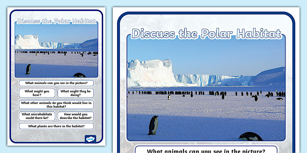 Discuss the Polar Habitat Picture Prompt (teacher made)