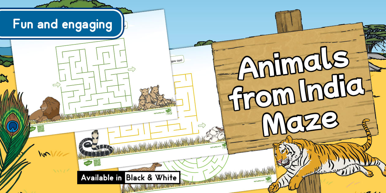 * NEW * Animals of India Maze