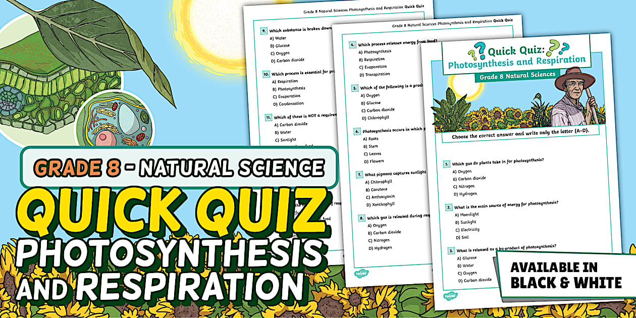 Grade 8 Natural Sciences – Quick Quiz Photosynthesis and Respiration