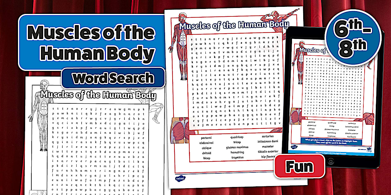 Muscular System Word Search for Grades 6th-8th - Twinkl