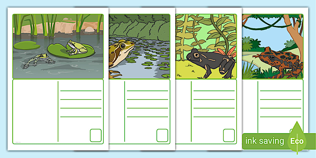 Frog Postcards | Twinkl | Stationery | Frogs | KS1 - Twinkl