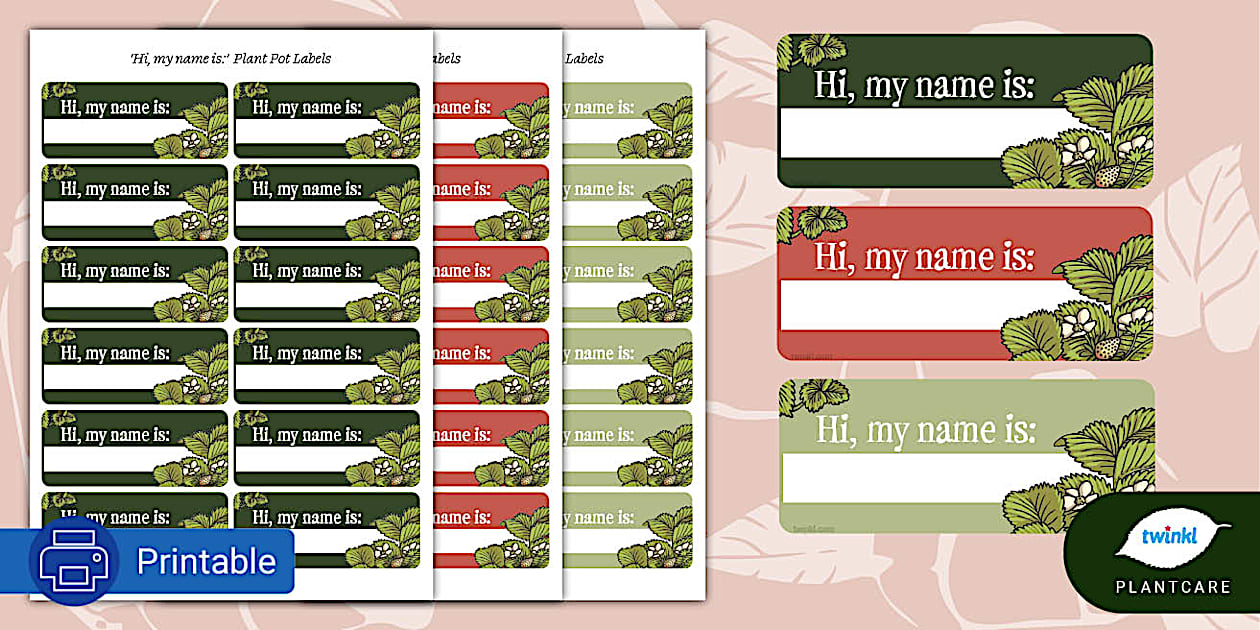 Printable Plant Pot Labels (teacher made) - Twinkl