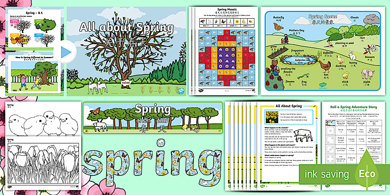 Spring Resource Pack - English/Mandarin Chinese - Twinkl
