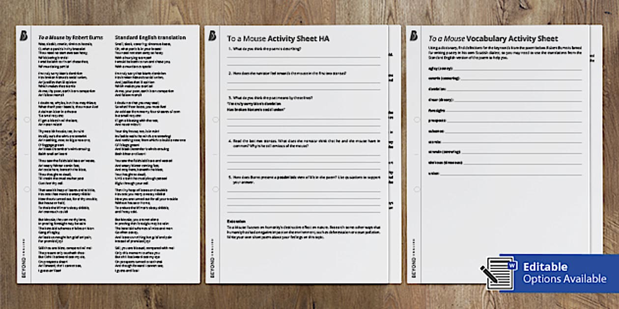 Burns Night Poem for KS3 English | To a Mouse Worksheet