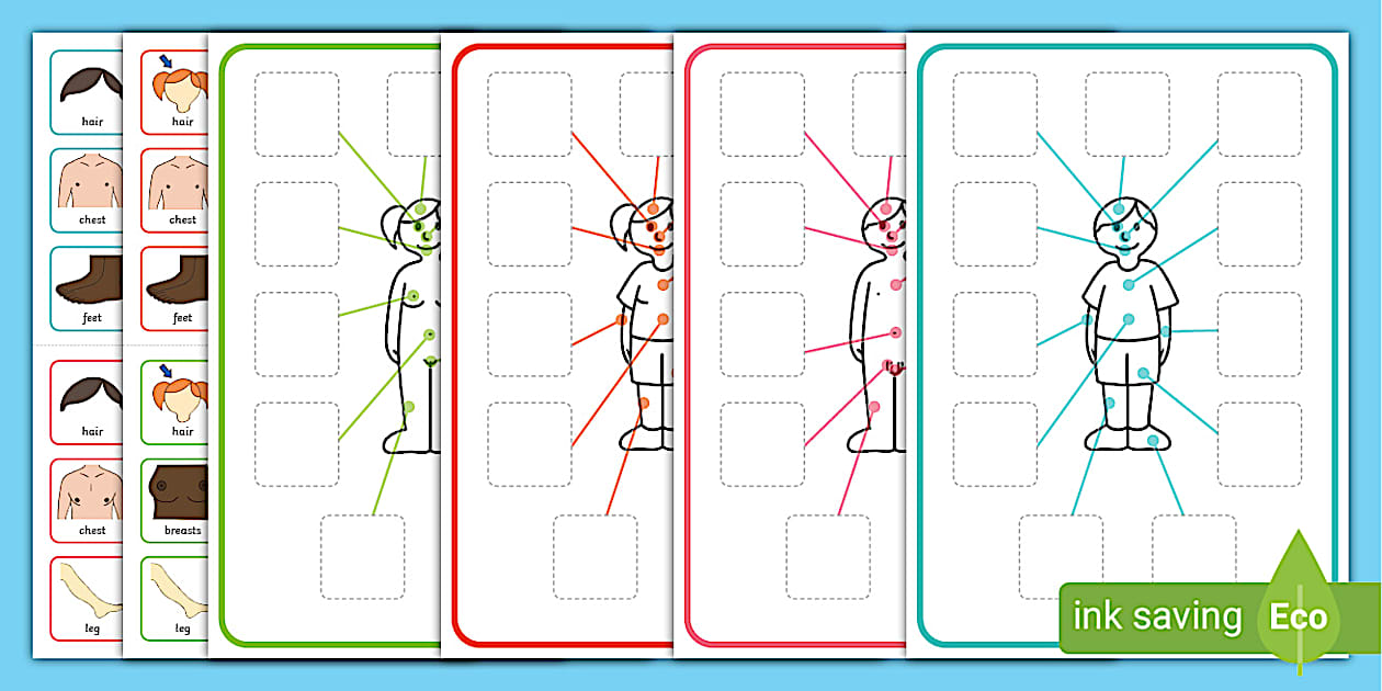 Twinkl Symbols: Body Parts Labelling Activity (Lesson 4)