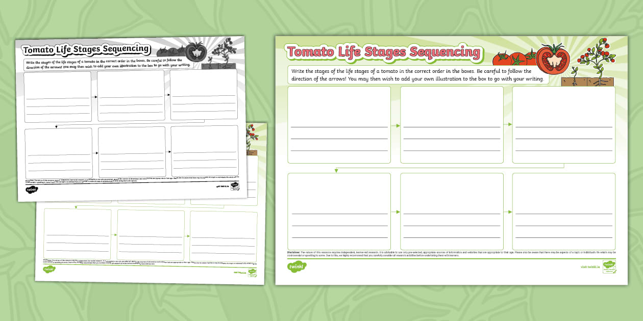 Tomato Life Stages Sequencing Mind Map (teacher made)