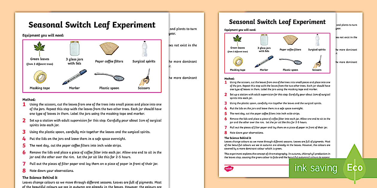 Seasonal Switch Leaf Experiment Step-by-Step Instructions
