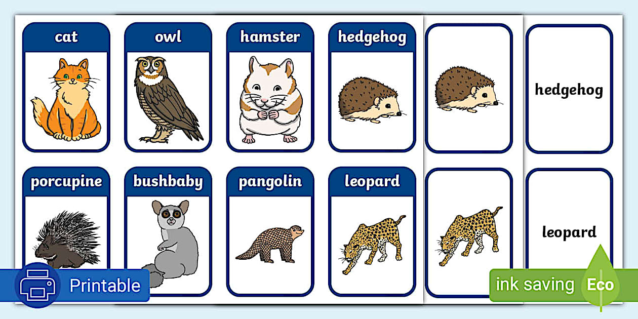 Animals at Night - Word Cards - Twinkl