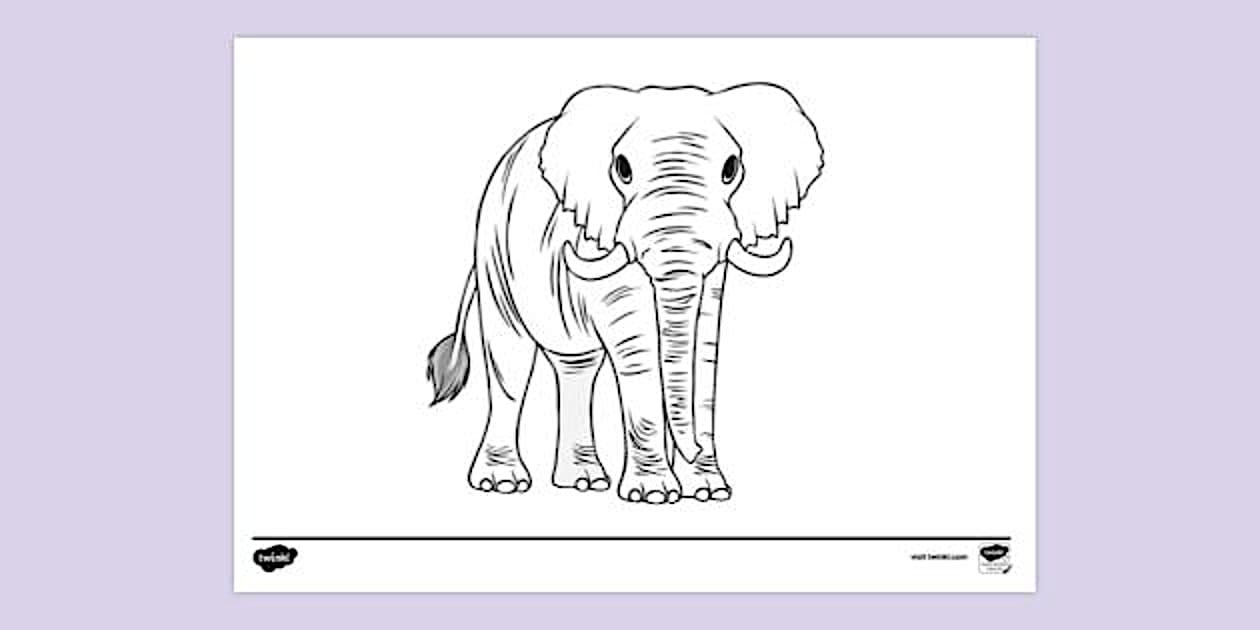 Simple Animal Colouring Sheet | Colouring Sheets - Twinkl