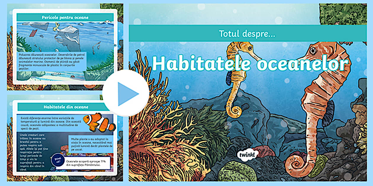 Totul despre habitatele oceanelor - Prezentare PowerPoint