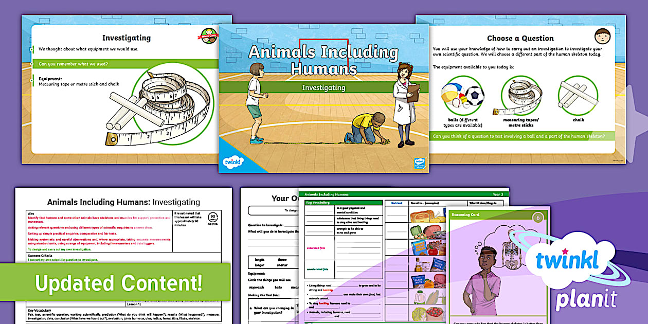 Skeleton And Muscles Investigation | KS2 Science | Twinkl