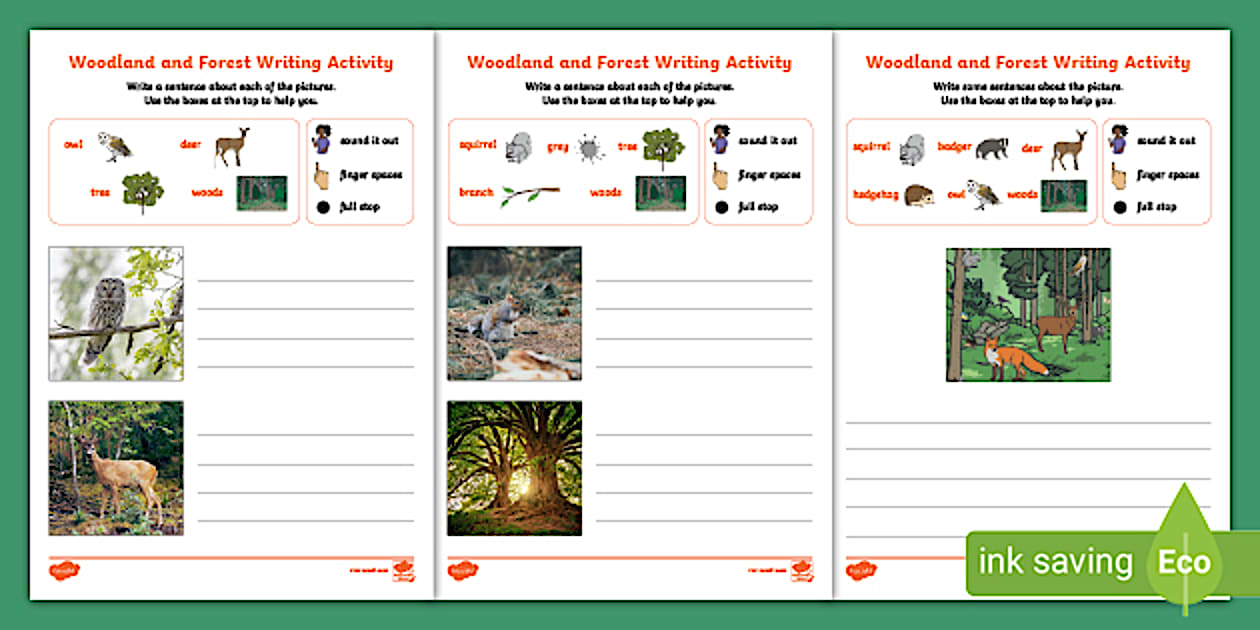 Woodland and Forest Early Writing Activities (teacher made)