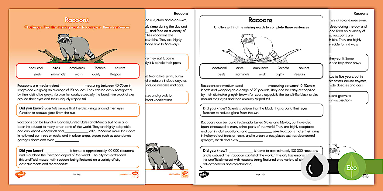 All About Raccoons Cloze Activity (teacher made) - Twinkl