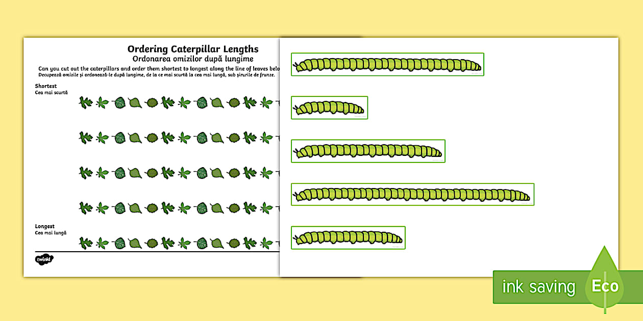Ordering Caterpillar Lengths Activity English/Romanian - Ordering ...