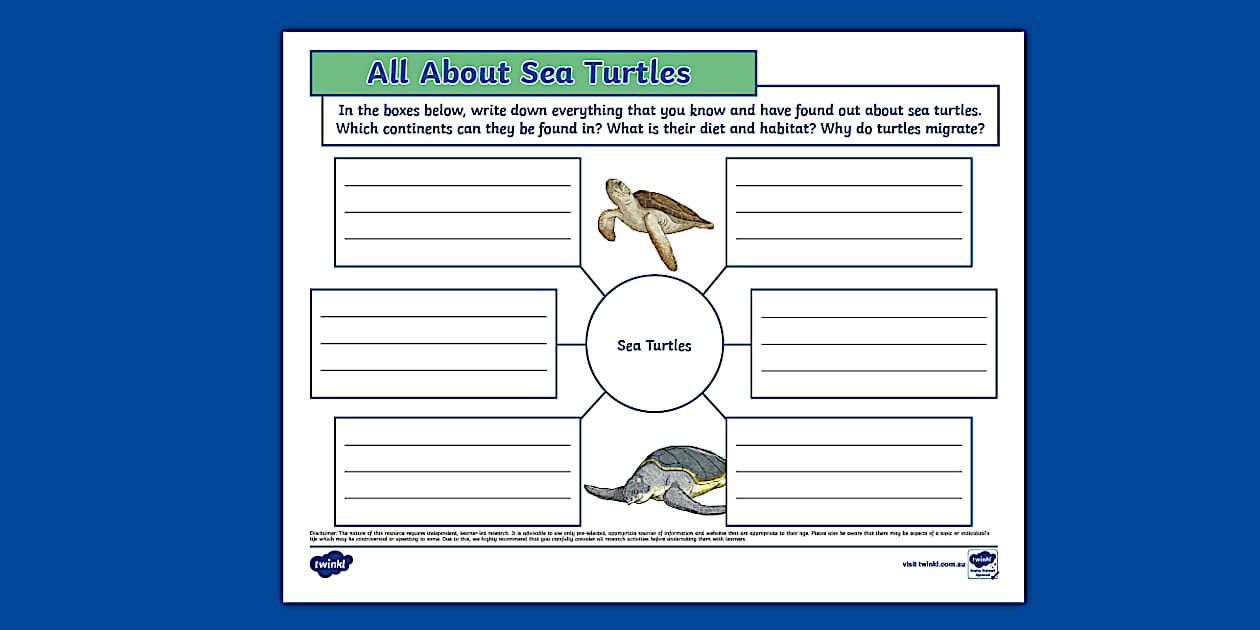 All About Sea Turtles Mind Map (teacher made) - Twinkl
