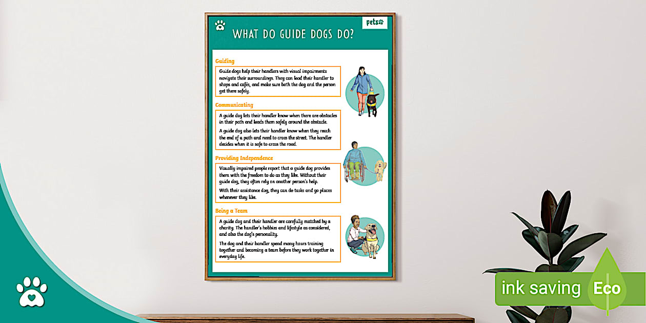 What do Guide Dogs Do? - Display Poster - Dog - Twinkl Pets