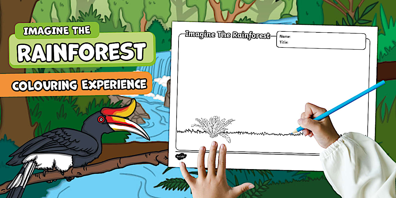 Imagine The Rainforest - Colouring Experience