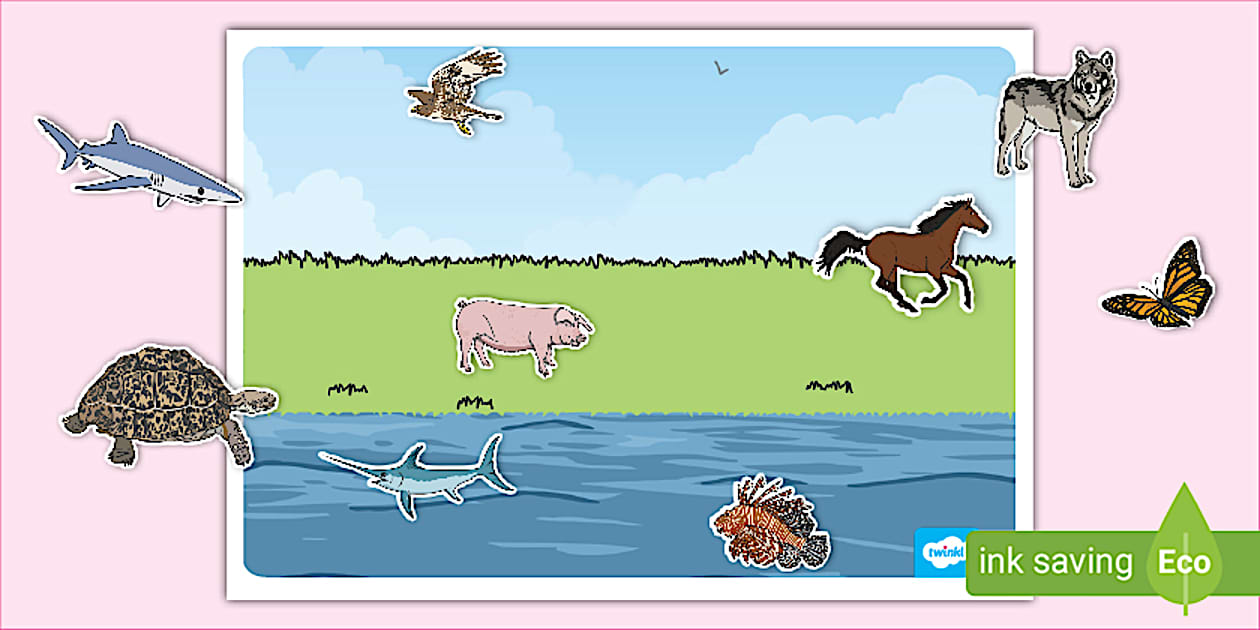 Large Animal Sorting Background (teacher made) - Twinkl