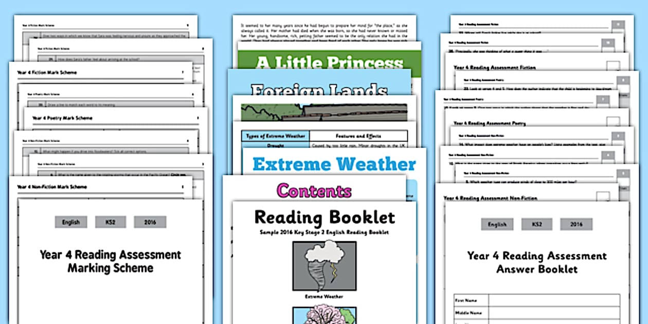 Year 4 Term 3 Reading Assessment Pack (teacher made)