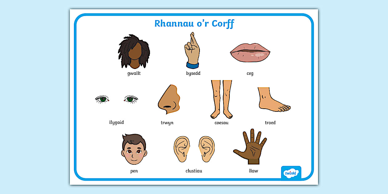Mat Geiriau Rhannau'r Corff (Teacher-Made) - Twinkl