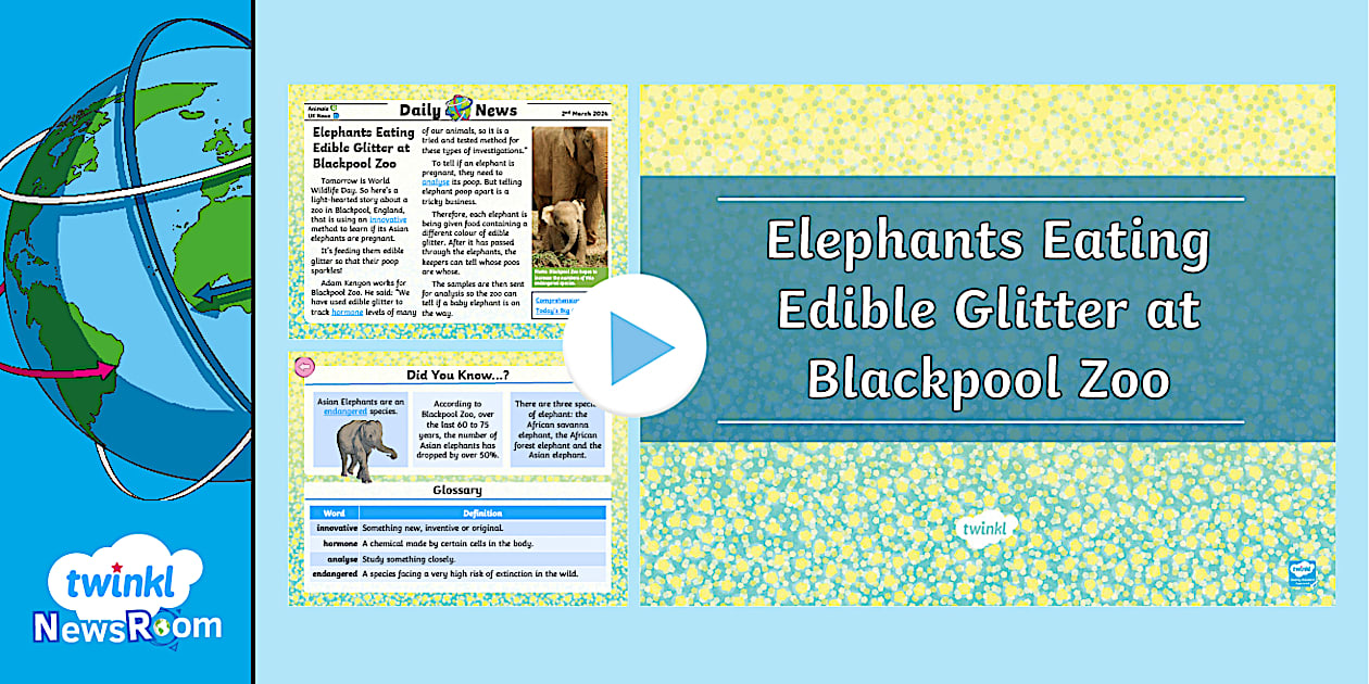 Elephants Eating Edible Glitter at Blackpool Zoo | Twinkl