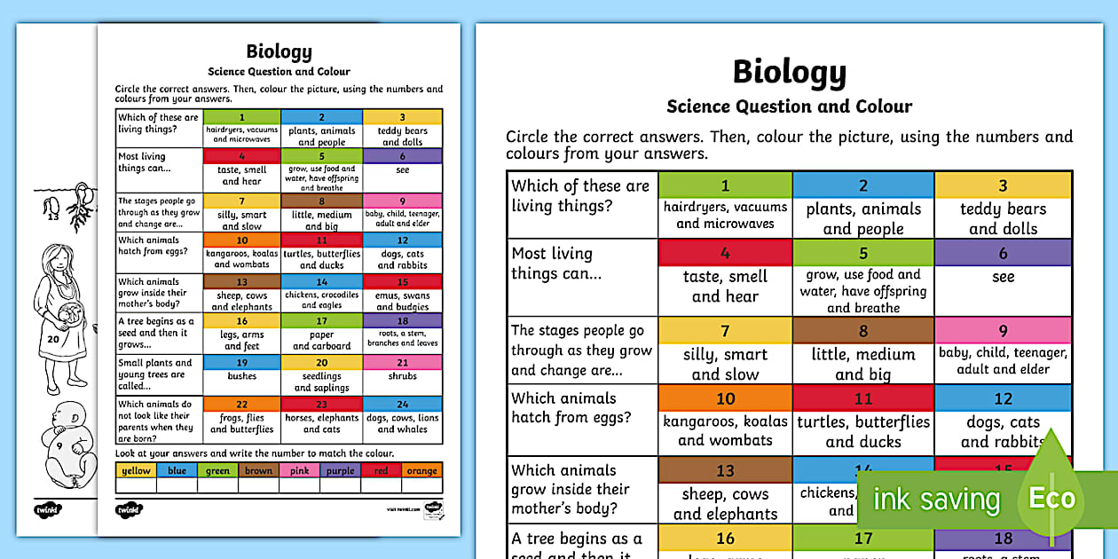 Year 2 Biological Science Questions and Colouring Worksheet / Worksheets,