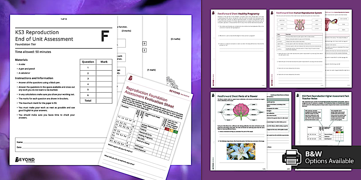 KS3 Reproduction Foundation Assessment Pack | Beyond Science