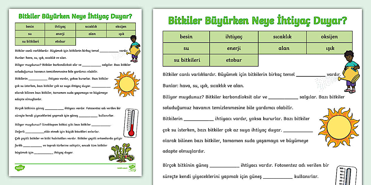 Bitkiler Büyürken Neye İhtiyaç Duyar? | Etkinlik Sayfası