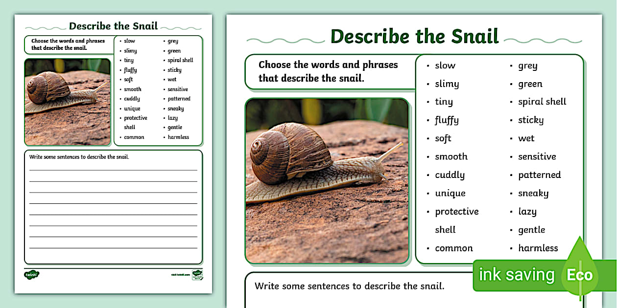 Describe the Snail Writing Worksheet (teacher made) - Twinkl