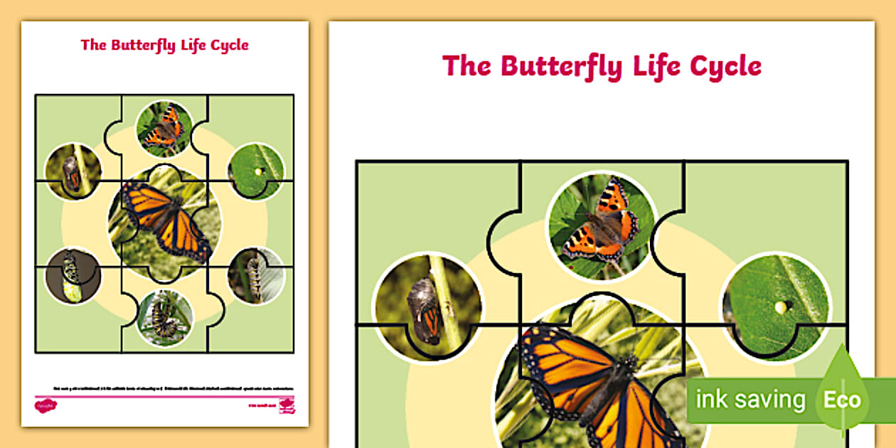 Life Cycle of a Butterfly Jigsaw (teacher made) - Twinkl