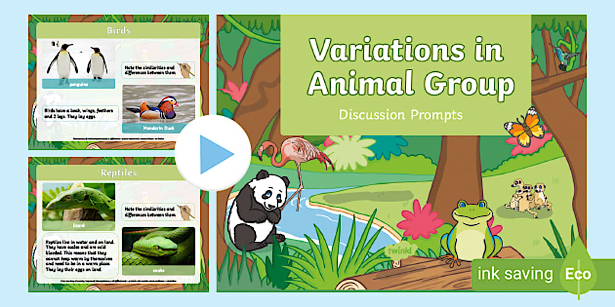 KS1 Animals PowerPoint - Animal Classification - Resources