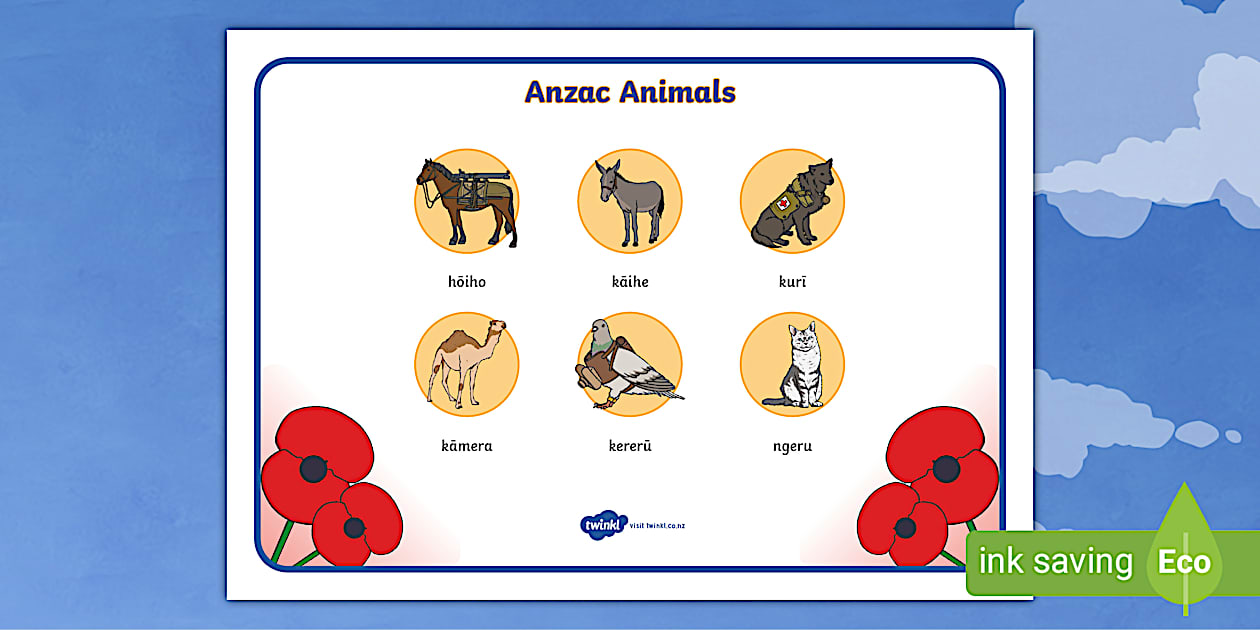 Te Reo Māori ANZAC Animals Word Mat (teacher made) - Twinkl